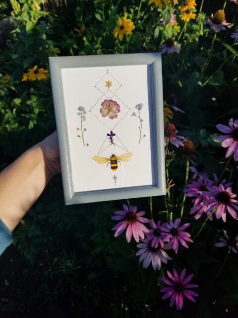 Art Galleries | Collingwood Art Crawl | Collingwood, Ontario